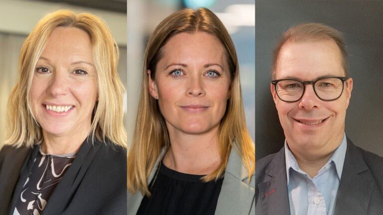 IFRS och RFR | dib.se